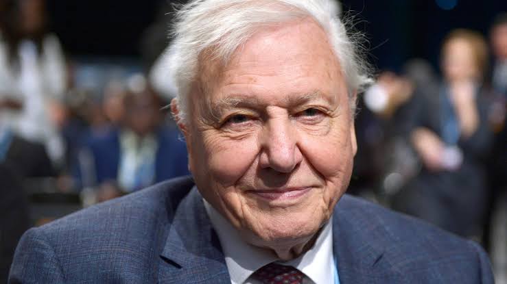 David Attenborough Net Worth, Birthday, Height, Bio, Age, Alive, Wife ... David Attenborough Net Worth, Birthday, Height, Bio, Age, Alive, Wife ...